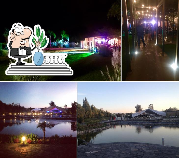 Lago Del Rey, Zapopan - Restaurant reviews