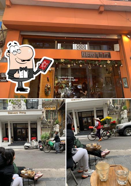 Blackbird Coffee, Hanoi - Menú del restaurante, precios y reseñas