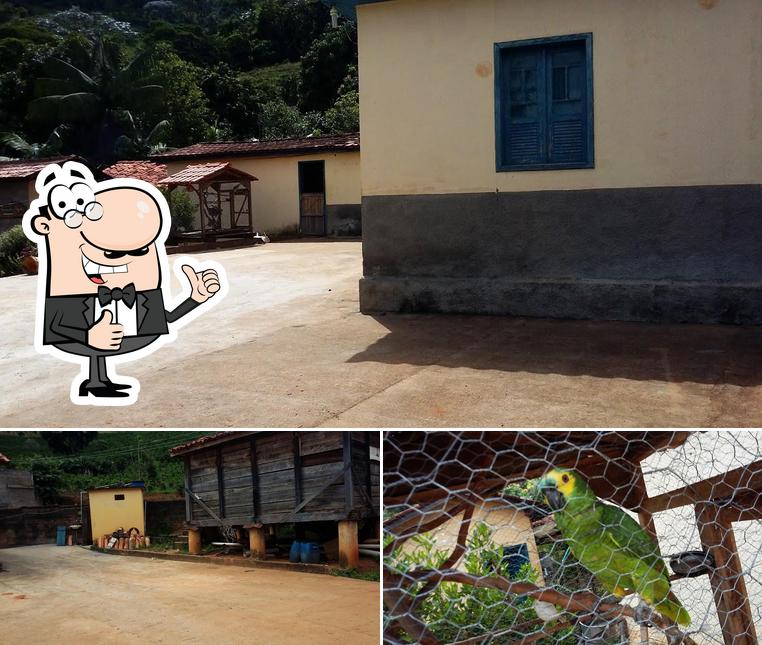 Café Macêdo , Sítio Boa Sorte, Brasil - Avaliações de restaurantes