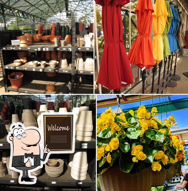 Swansons Nursery in Seattle - Restaurant reviews