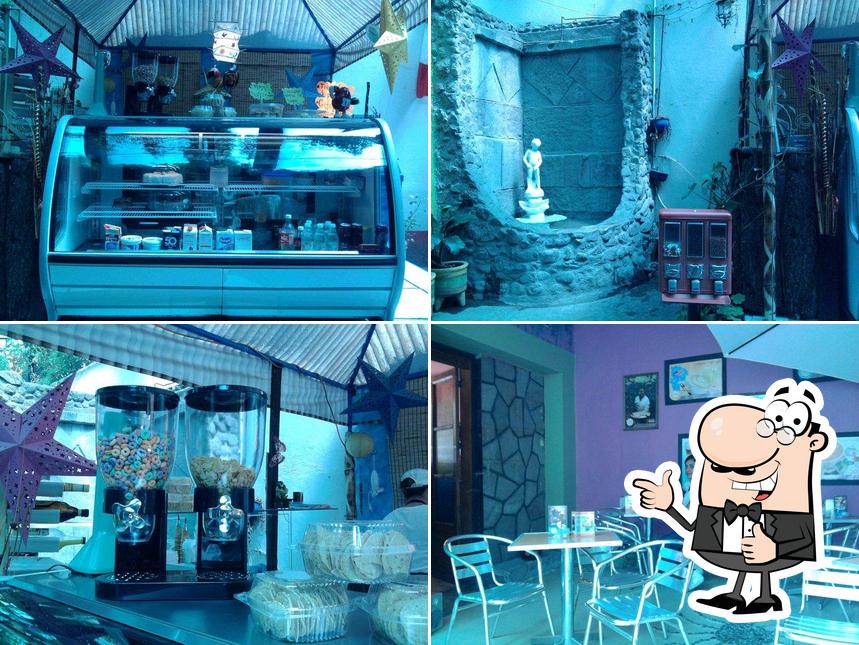 oRgaNika kafE restaurant, Mexico City
