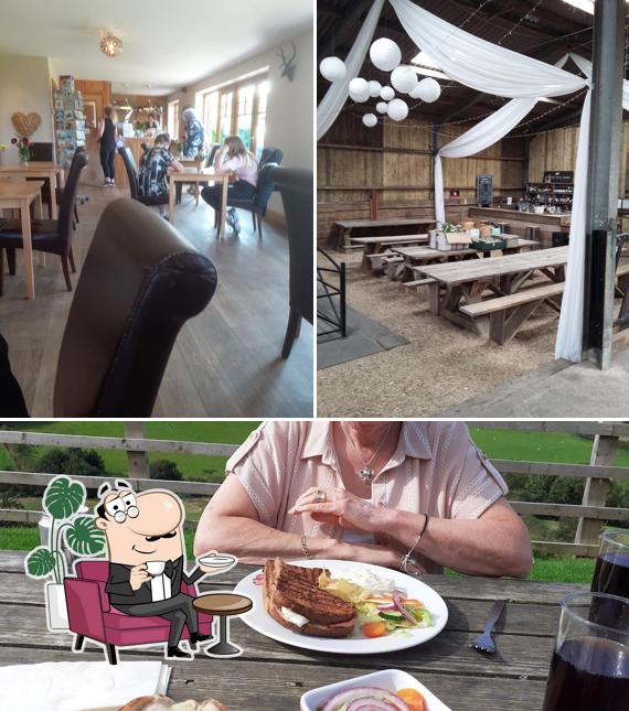 Stepney Hill Farm in Scarborough - Restaurant reviews