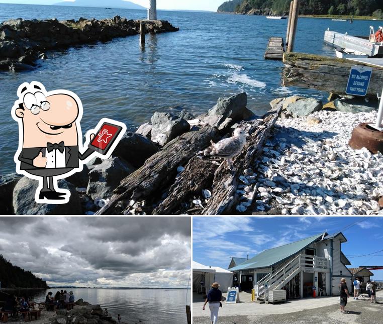 Taylor Shellfish Farms in Bow - Restaurant reviews