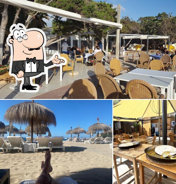 Tropicana Eivissa Cala Jondal - Restaurant menu, prices and reviews