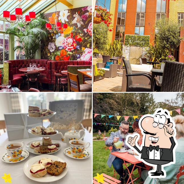 Daffodil, Cardiff - Restaurant menu, prices and reviews