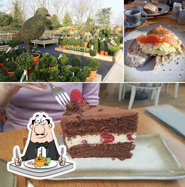 Squire's Garden Centre, Woking - Restaurant menu, prices and reviews
