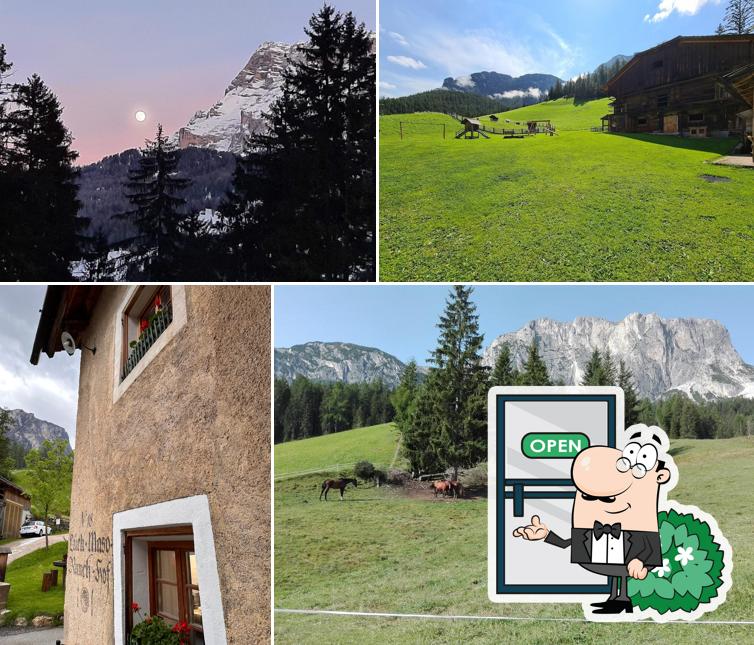Maso Runch Hof ristorante, Badia - Menu e recensioni del ristorante