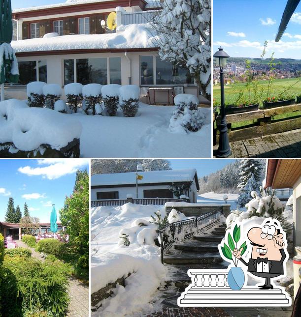 Waldegg, Menziken - Restaurant reviews