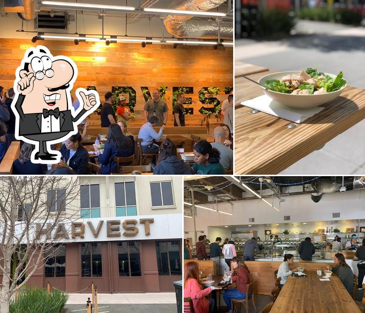 Harvest in Menlo Park - Restaurant reviews