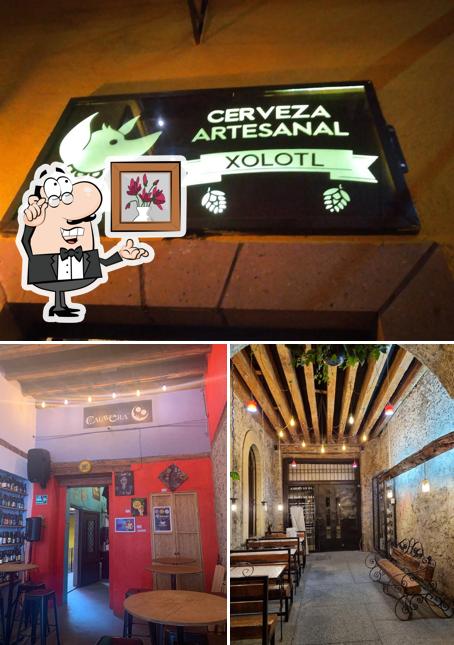 Cervecería Xolotl, Mexico City - Restaurant menu, prices and reviews