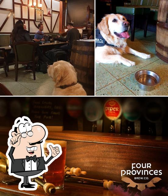 The Four Provinces Brew Pub, Dublin - Restaurant menu, prices and reviews