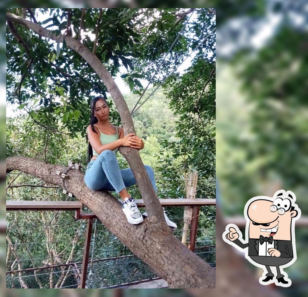 Tree Bridge Coffee cafe, Ko Samui - Restaurant reviews
