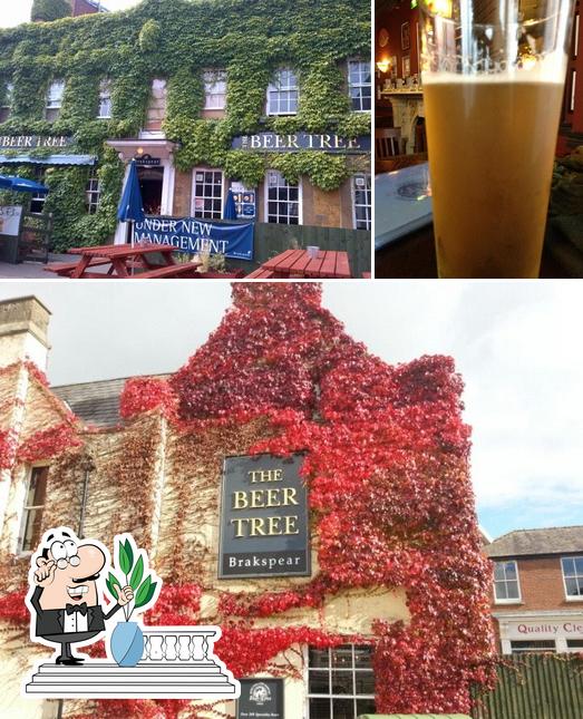 The Beer Tree, Castle House, Cornhill in Banbury
