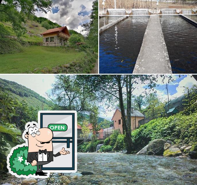 Ribnik Nezhilovo restaurant, Nezhilovo - Restaurant reviews