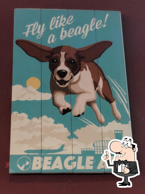 Beagle Pub in Victoria - Restaurant menu and reviews