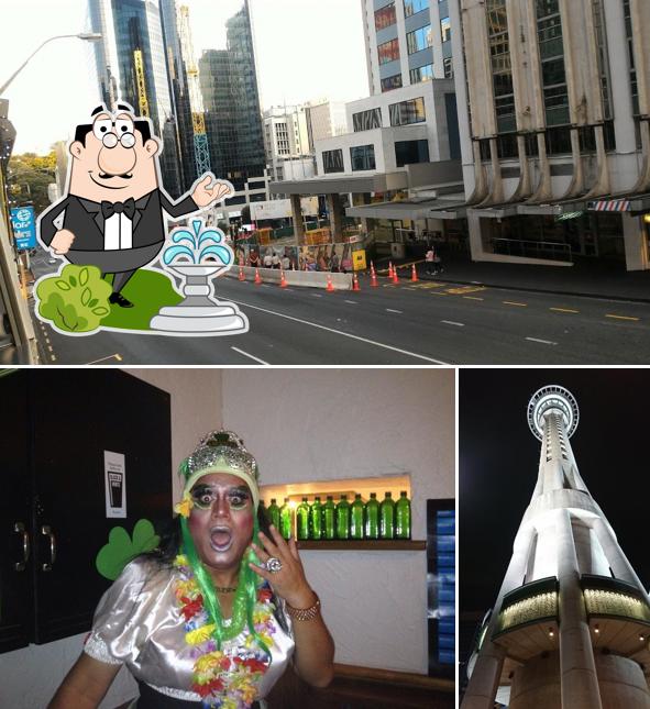 The Fiddler Irish Bar, Auckland - Restaurant menu, prices and reviews