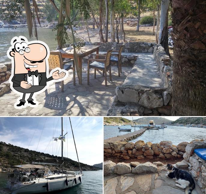 Captain Nemo's Farm Restaurant, Turkey - Restaurant reviews