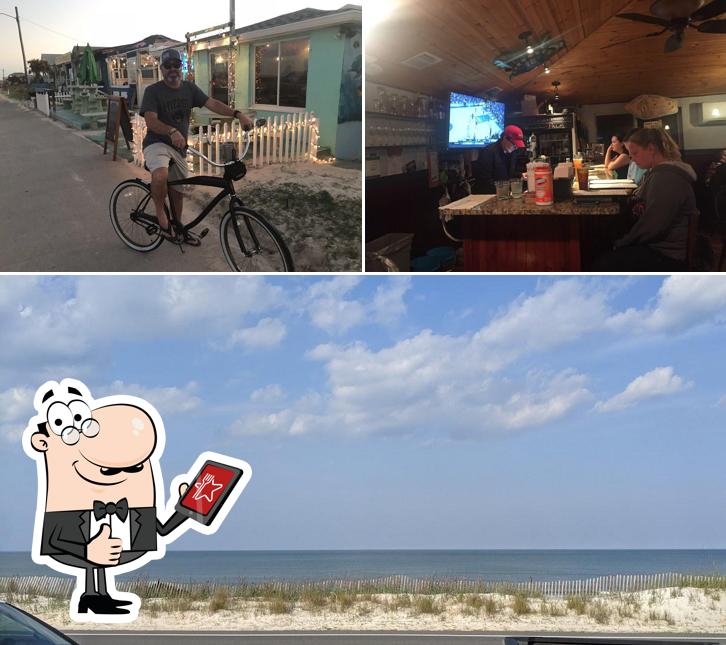 Turtle Shack Cafe in Flagler Beach - Restaurant menu and reviews