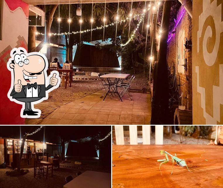 Tierra Añil Café, Oaxaca - Restaurant reviews