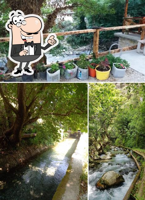 Taverna Mulliri Tatzat - Restaurant menu, prices and reviews