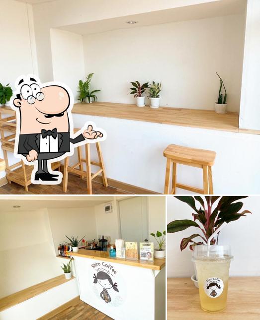 Shiro Coffee cafe, San Mahaphon - Restaurant reviews