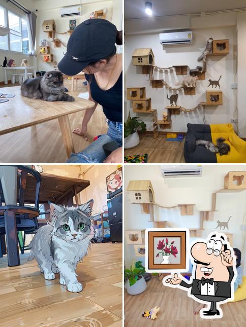 The little cat cafe, Rayong - Restaurant reviews