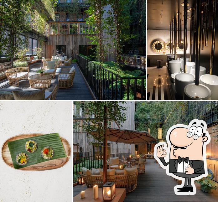 Jurema Terrace at The Mandrake in London - Restaurant reviews