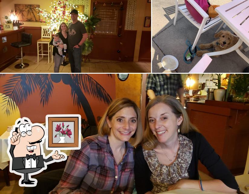 Churi's Coconut Tree, Rochester - Restaurant menu, prices and reviews
