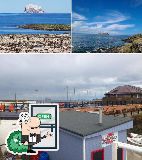 The Lobster Shack, North Berwick - Restaurant menu, prices and reviews