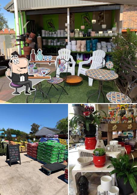 Four Seasons Garden Centre - Mount Colah (The Plant Bug) in Mount Colah ...