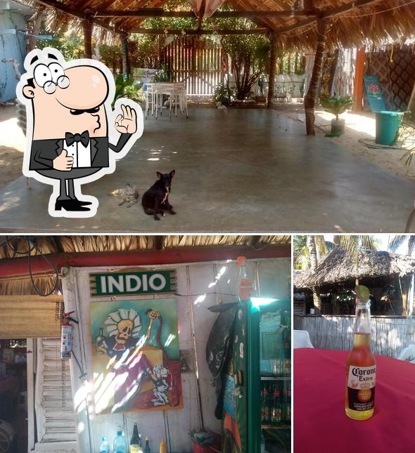 El Hongo pub & bar, Mexico - Restaurant reviews