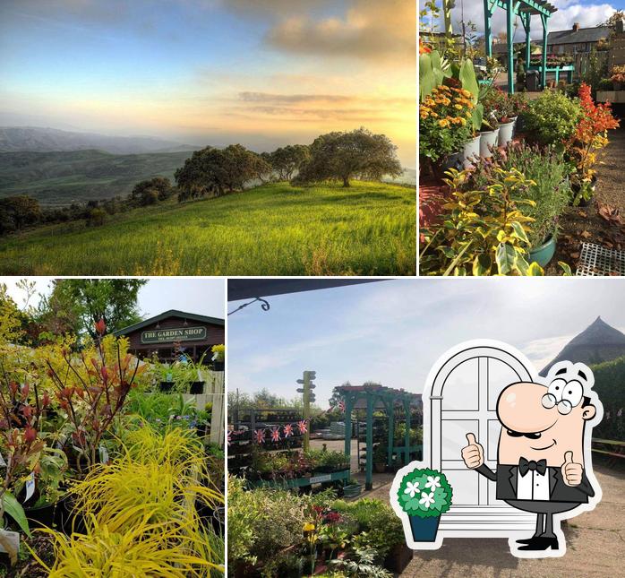 The Garden Shop in Colyton - Restaurant reviews