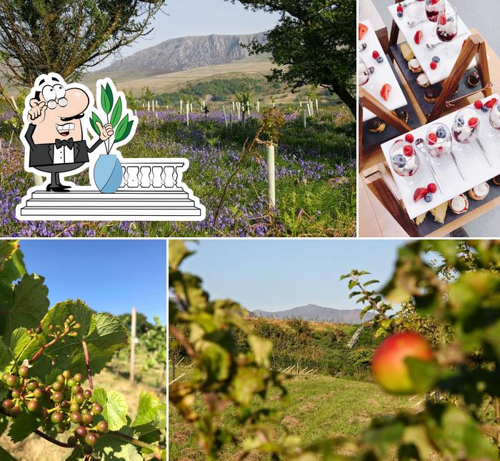 Pant Du Vineyard and Cafe, Penygroes - Carta del restaurante y opiniones