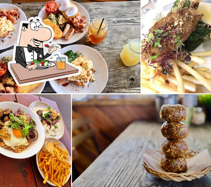 Surfing Lizard - Coogee in Coogee - Restaurant menu and reviews