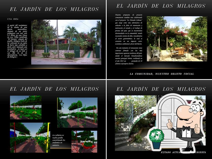 Proyecto Ecologico Comunitario "El Jardin de Los Milagros" restaurant ...