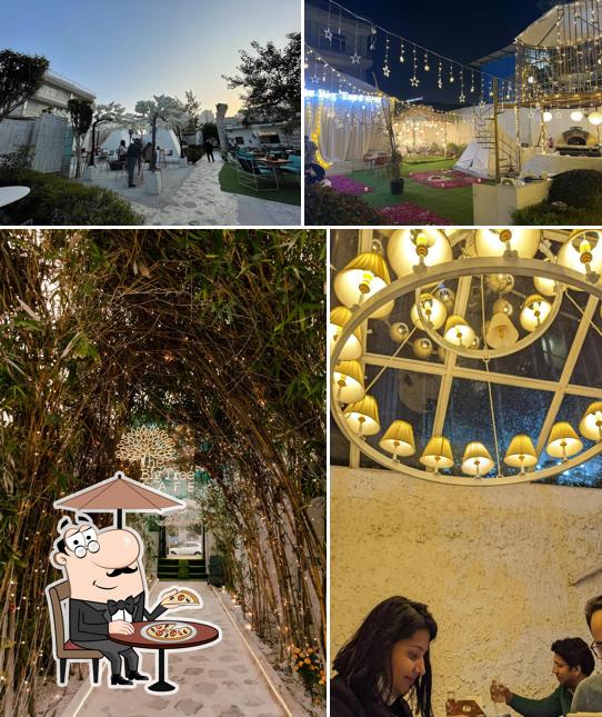 The Big Tree Cafe Golf Course Road Big Tree Cafe, Gurugram - Restaurant ...