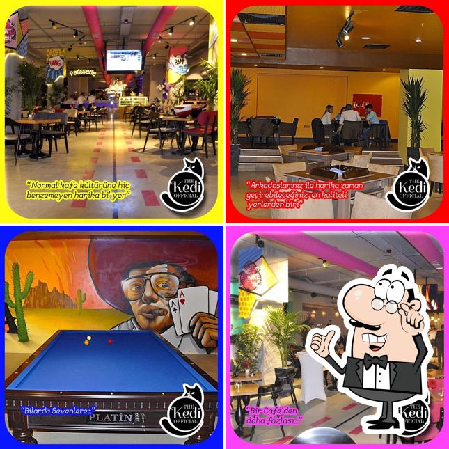 The Kedi Official, Istanbul - Restaurant reviews