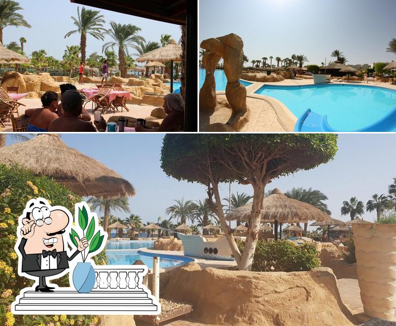 Pool Bar, Ägypten, Lotus Bay Beach Resort - Restaurant reviews