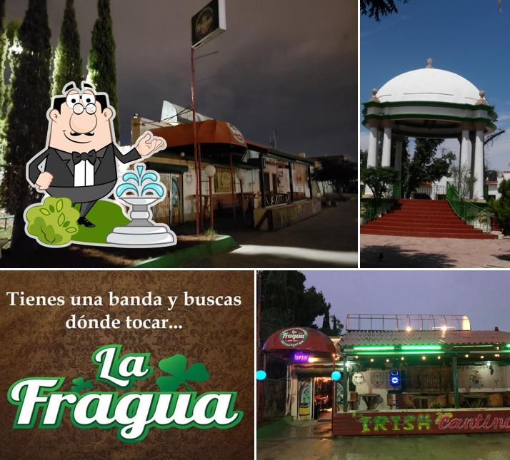 Los 10 mejores pubs y bares en Ciudad Juarez, noviembre 2025 ...