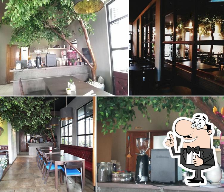 Olyf Tree restaurant, Purwokerto, Jl. Profesor DR. HR Boenyamin No.106 ...