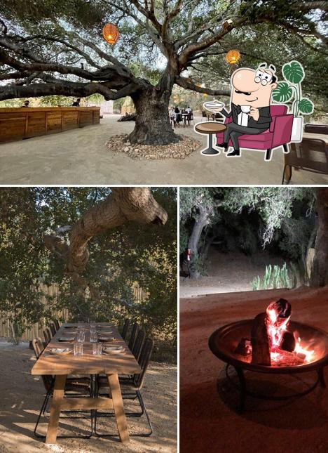 Primitivo Restaurante, Guadaloupe - Restaurant menu, prices and reviews