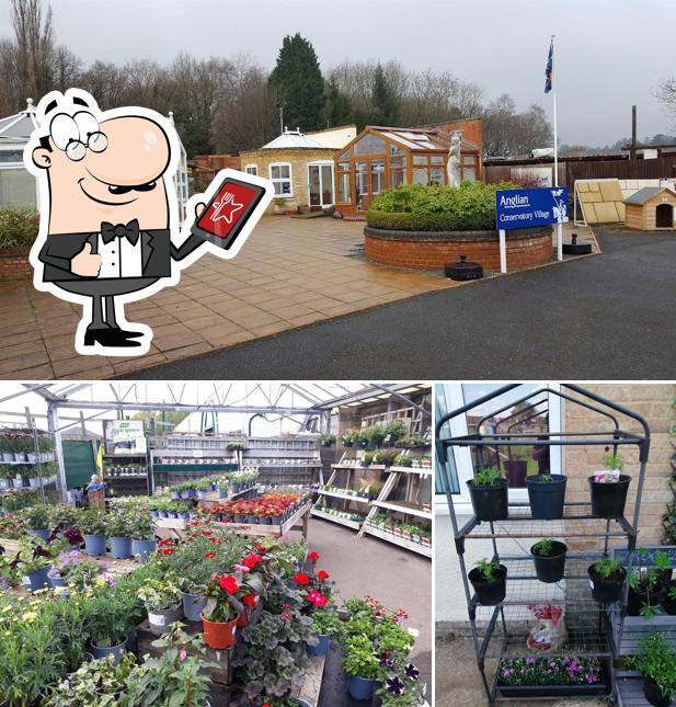 Edwins Garden Centre at Woking, Woking - Restaurant menu, prices and ...