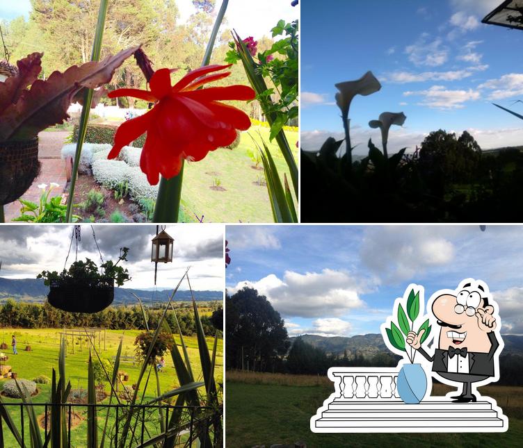 El Refugio De La Almendra restaurant, Subachoque, Vía a El Pantano ...