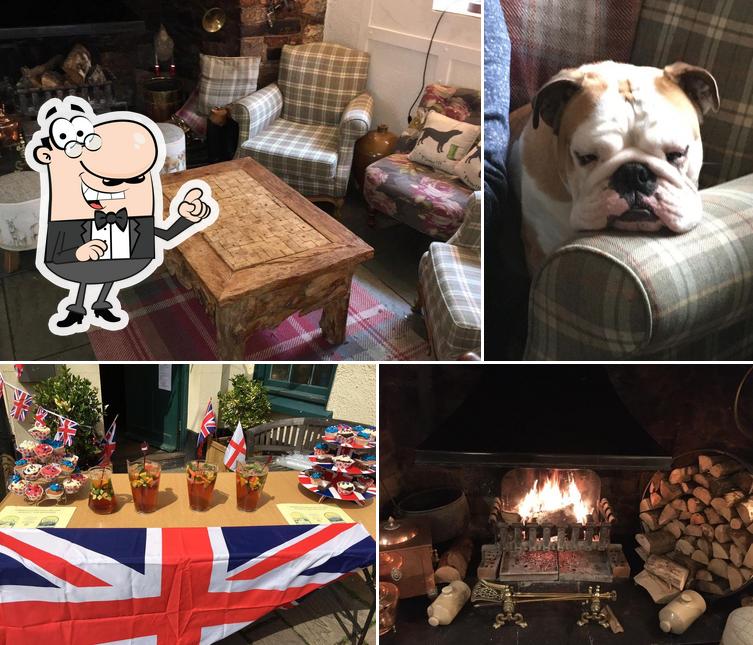 Top 2 restaurants with baked potatoes in Silverton, England, november ...