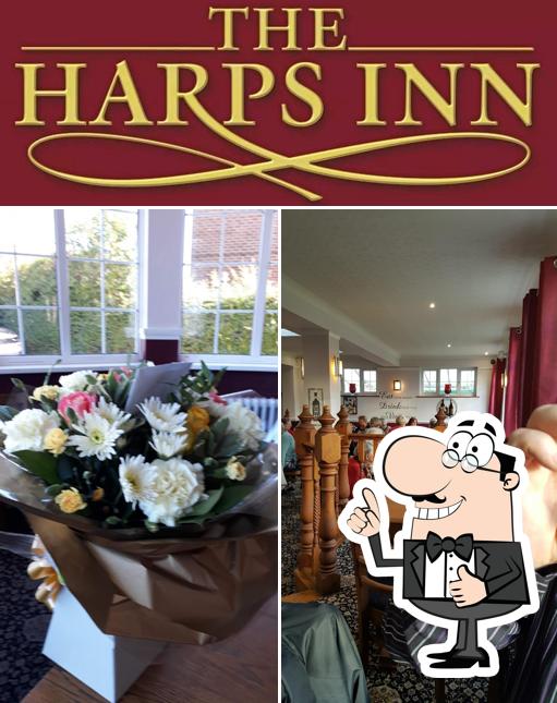 Harps Inn in Minster on Sea - Restaurant menu and reviews