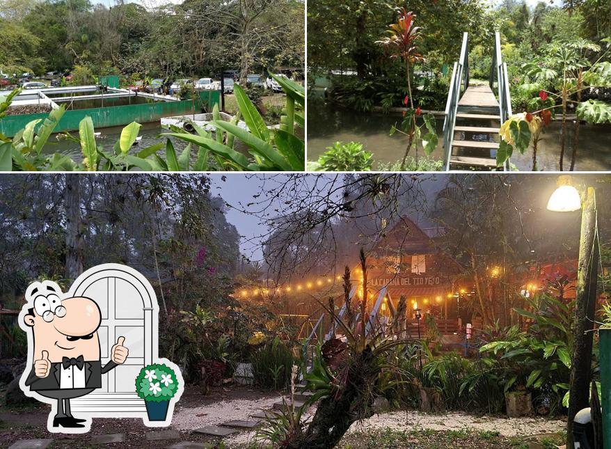 La Cabaña del Tío Yeyo, Coatepec - Menú del restaurante, precios y reseñas