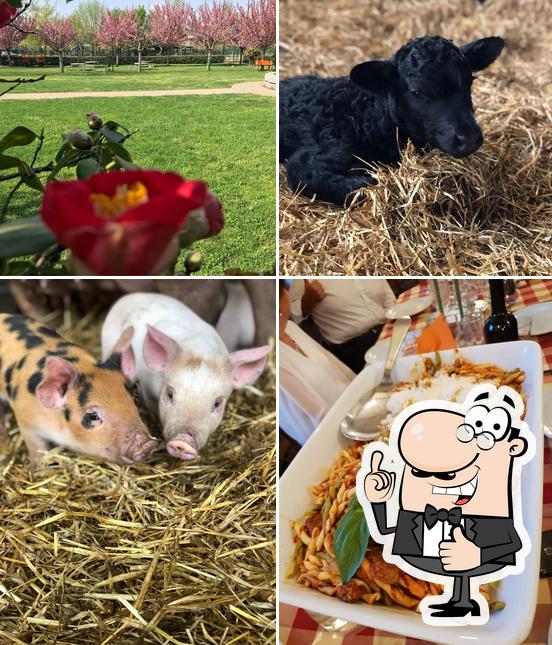 Agriturismo Ranza ristorante, Milano - Menu e recensioni del ristorante
