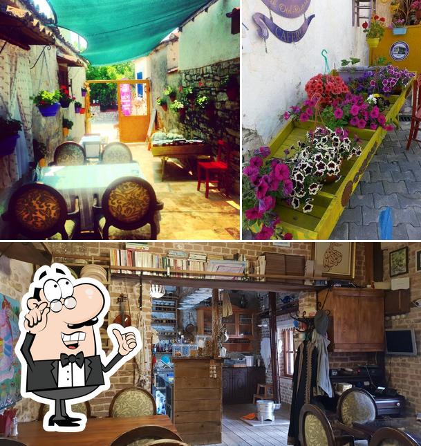 Caferli köyü N. Deniz kahvaltı evi, Güzelçamlı - Restaurant reviews
