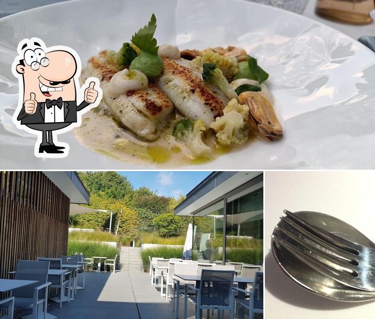 Two Cooks, Zottegem, Paddestraat 5 - Restaurant menu and reviews
