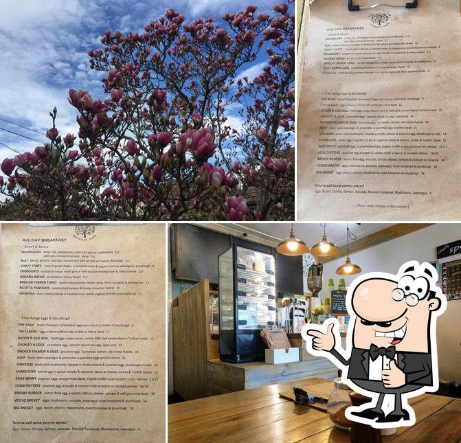 Big Tree House Cafe in Rydalmere - Restaurant menu and reviews